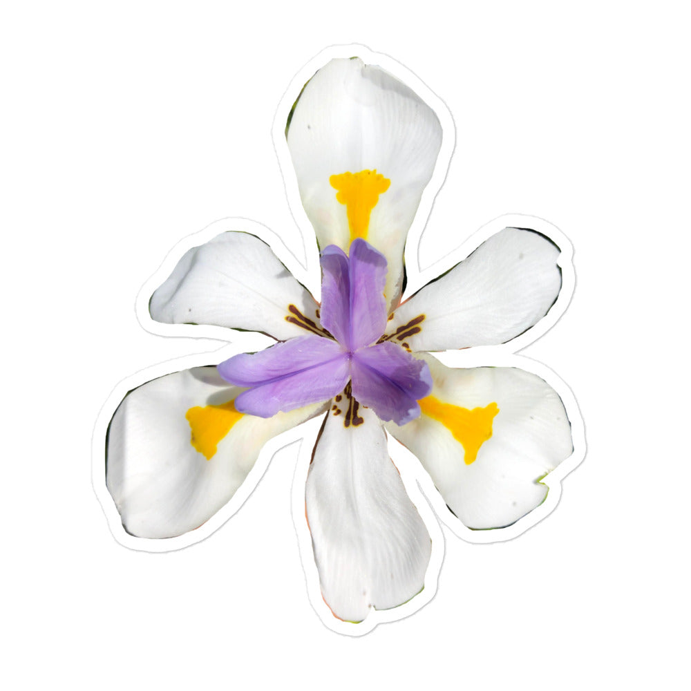 Iris Stickers – Unlocked Lifestyle